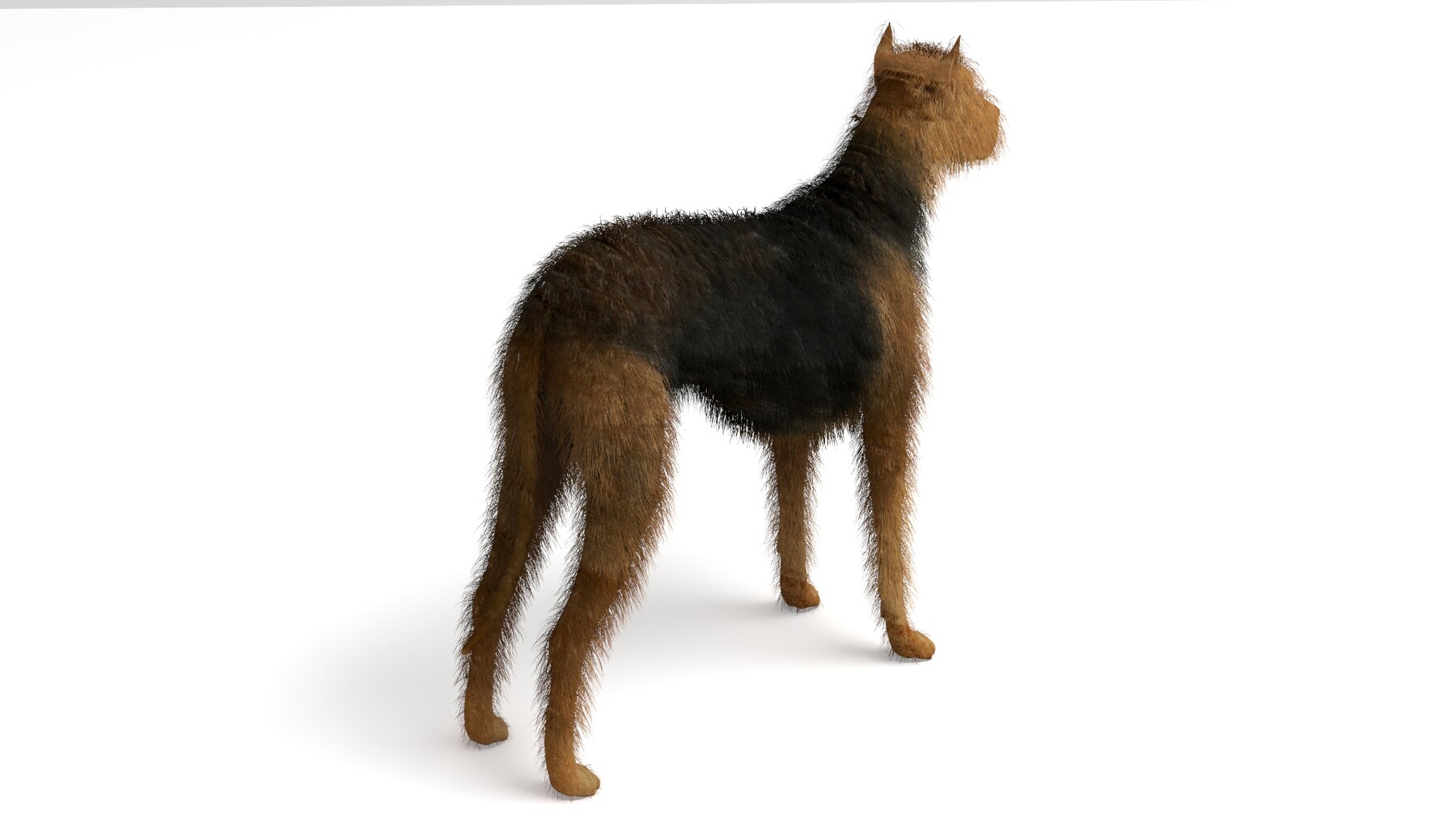 ArtStation - Street Dog | Resources