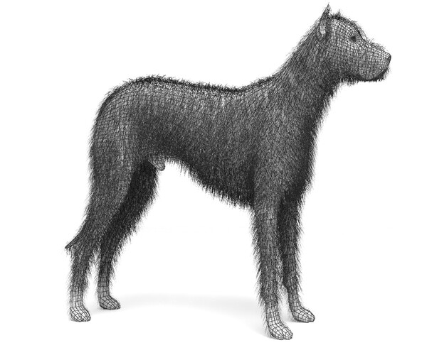 ArtStation - Street Dog | Resources