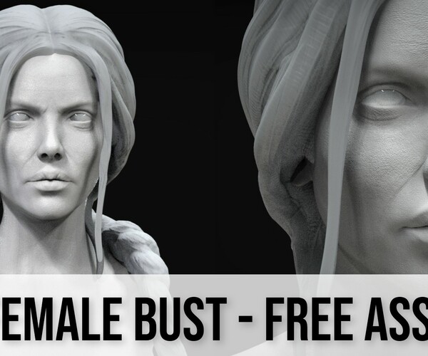 ArtStation - Female Bust - Free Asset | Resources