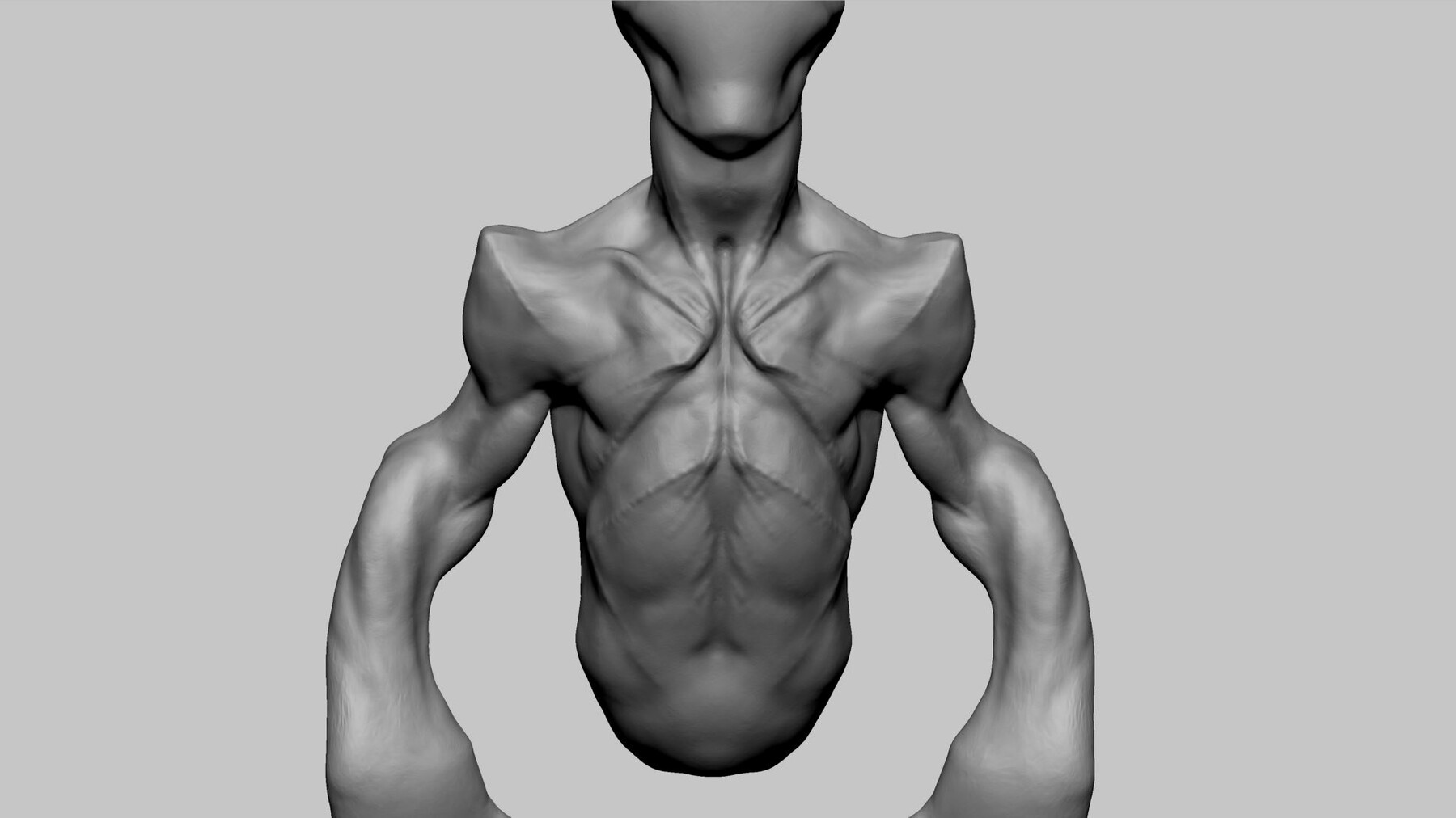 ArtStation - Creature Torso | Resources