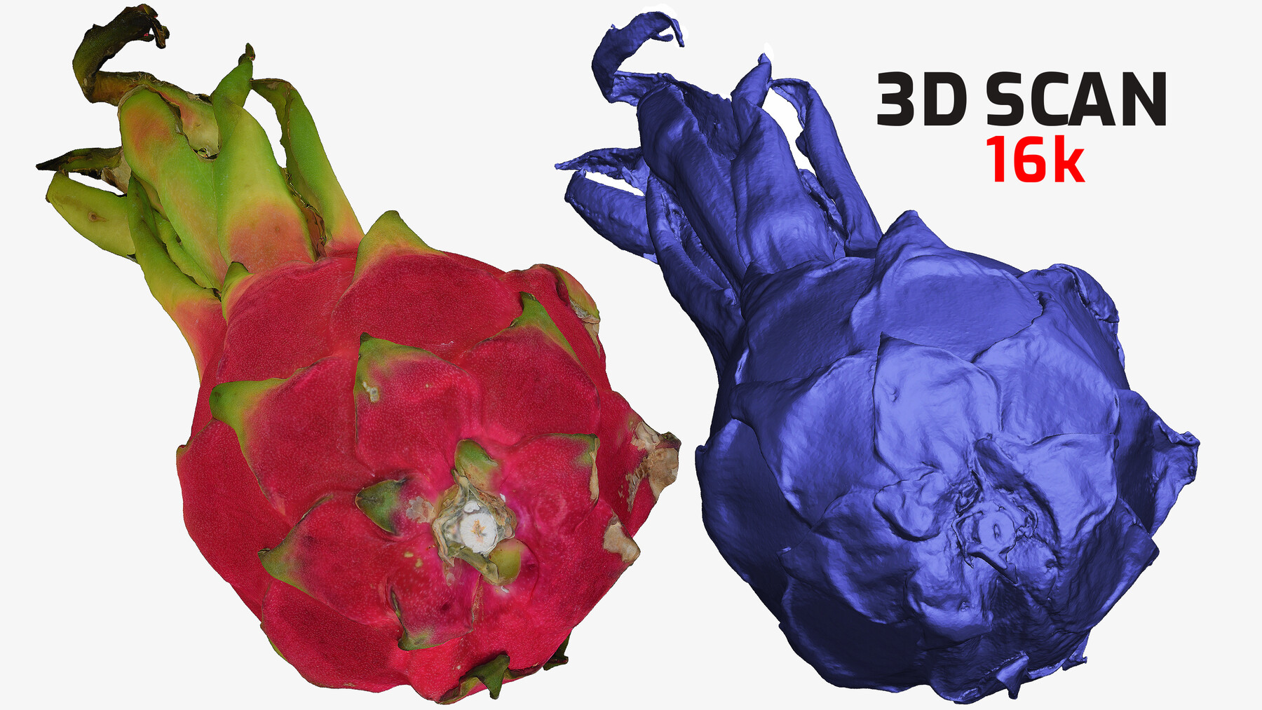 ArtStation - 20 products BUNDLE CROSS-POLARIZED 3D SCANS COLLECTION ...