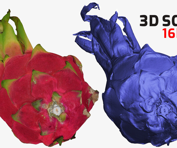 ArtStation - 20 products BUNDLE CROSS-POLARIZED 3D SCANS COLLECTION ...