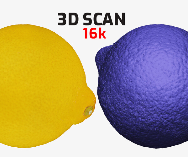 ArtStation - 20 products BUNDLE CROSS-POLARIZED 3D SCANS COLLECTION ...