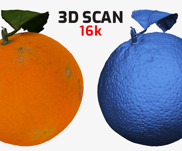 ArtStation - 20 products BUNDLE CROSS-POLARIZED 3D SCANS COLLECTION ...