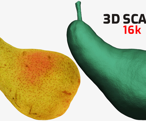 ArtStation - 20 products BUNDLE CROSS-POLARIZED 3D SCANS COLLECTION ...