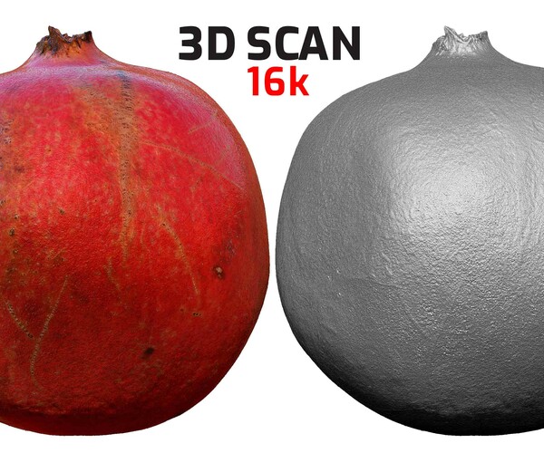 ArtStation - 20 products BUNDLE CROSS-POLARIZED 3D SCANS COLLECTION ...