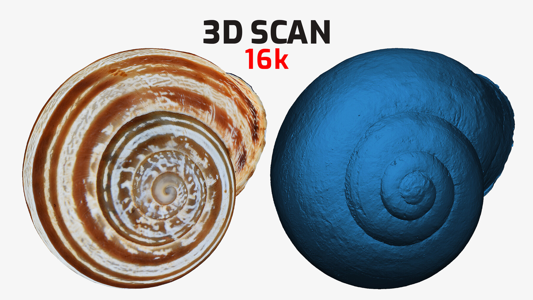 ArtStation - 20 products BUNDLE CROSS-POLARIZED 3D SCANS COLLECTION ...