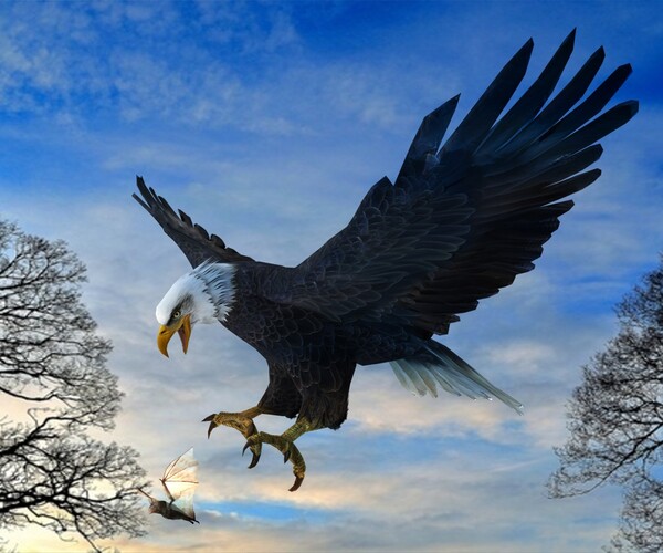 ArtStation - Eagle Attack | Resources