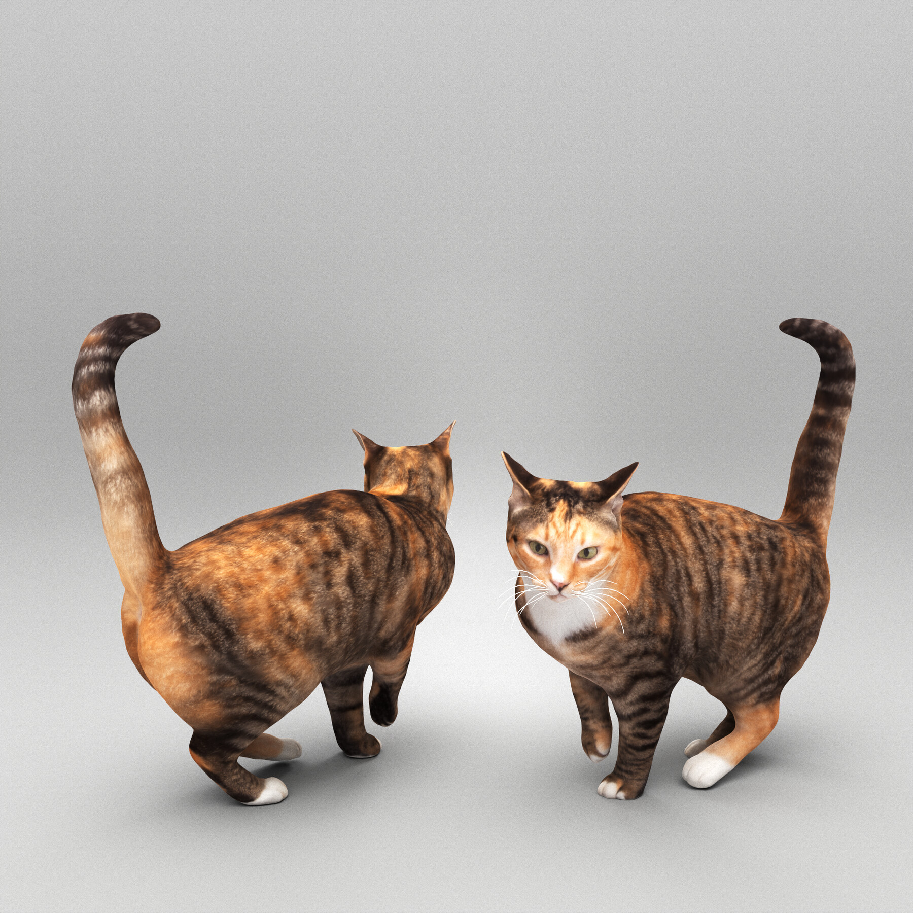 ArtStation - Cat 25 | Game Assets