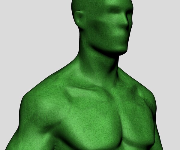 ArtStation - Male Body Form | Resources