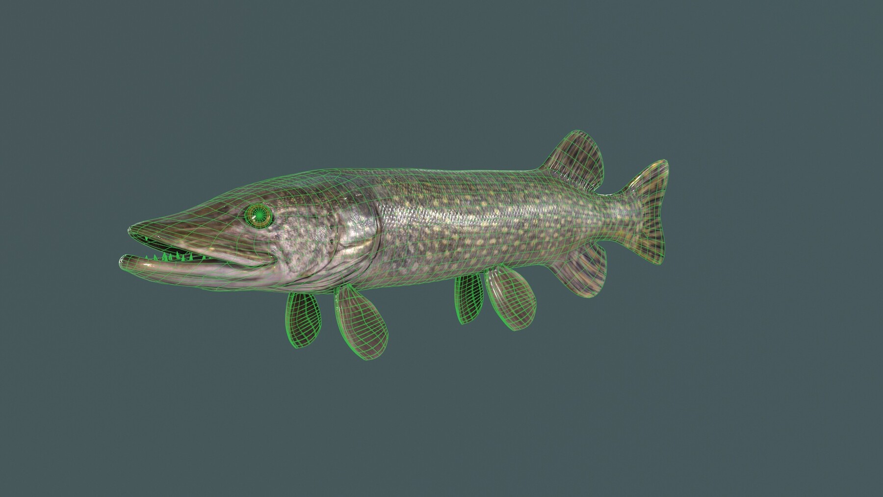 ArtStation - Pike Fish | Game Assets