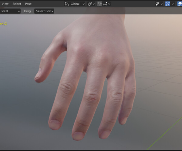 ArtStation - First Person Hand Rig (Blender/3dsMax) | Game Assets