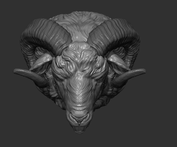 ArtStation - Bleating ram head | Resources
