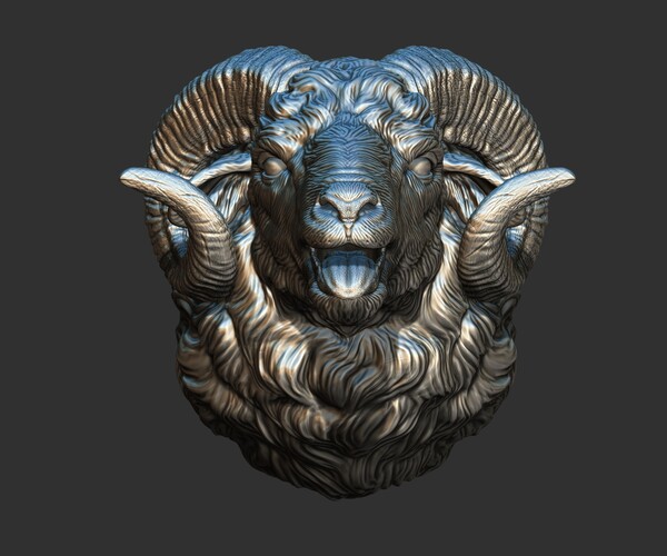 ArtStation - Bleating ram head | Resources