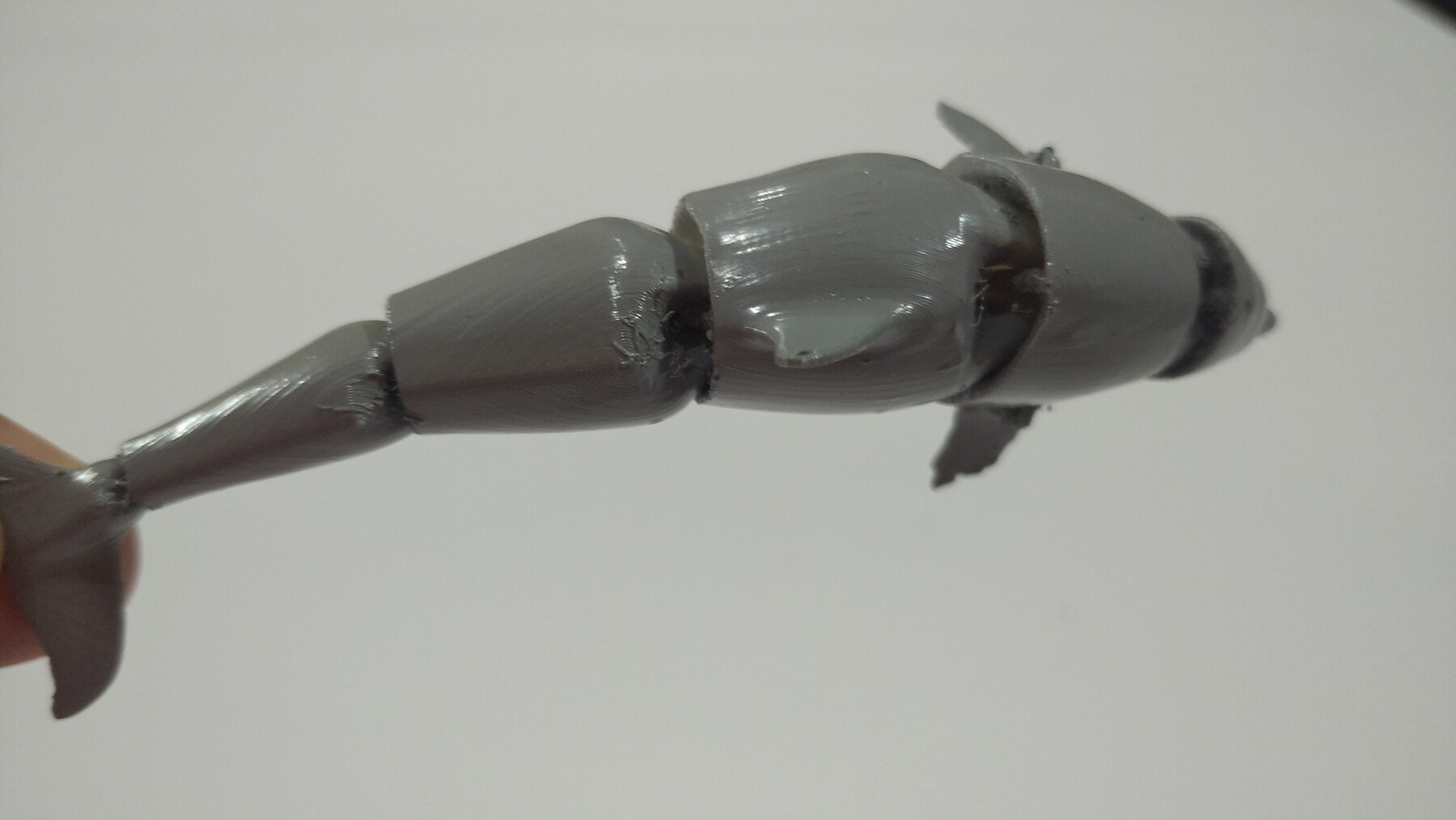 ArtStation - Articulated Dolphin | Resources