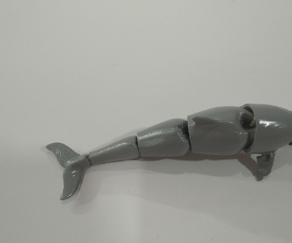 ArtStation - Articulated Dolphin | Resources