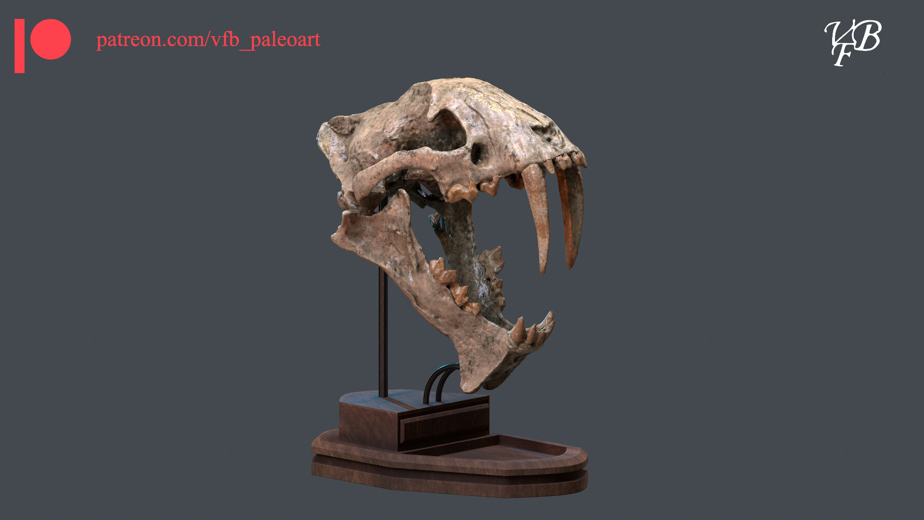 ArtStation - Sabretooth skull - Statue for 3D printing | Resources