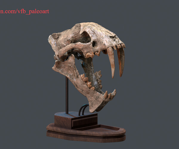 ArtStation - Sabretooth skull - Statue for 3D printing | Resources