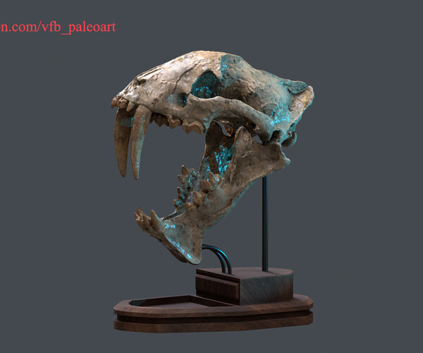 ArtStation - Sabretooth skull - Statue for 3D printing | Resources