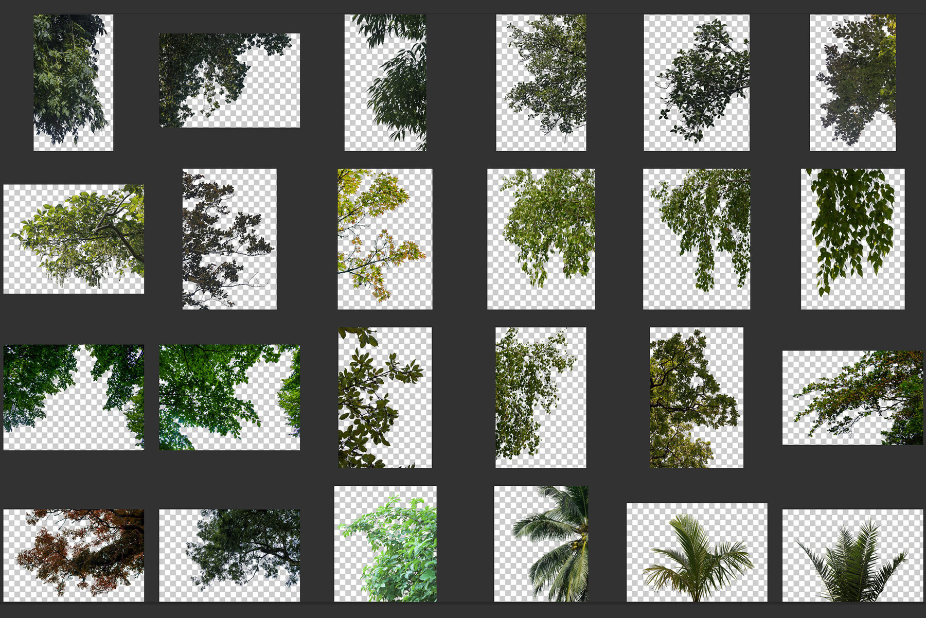 ArtStation - 100 Green Branches Photo Overlays, Digital cornes tree Cut ...