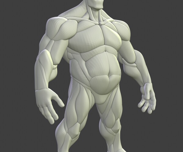ArtStation - Stylized Heavy Anatomy Blockout | Resources