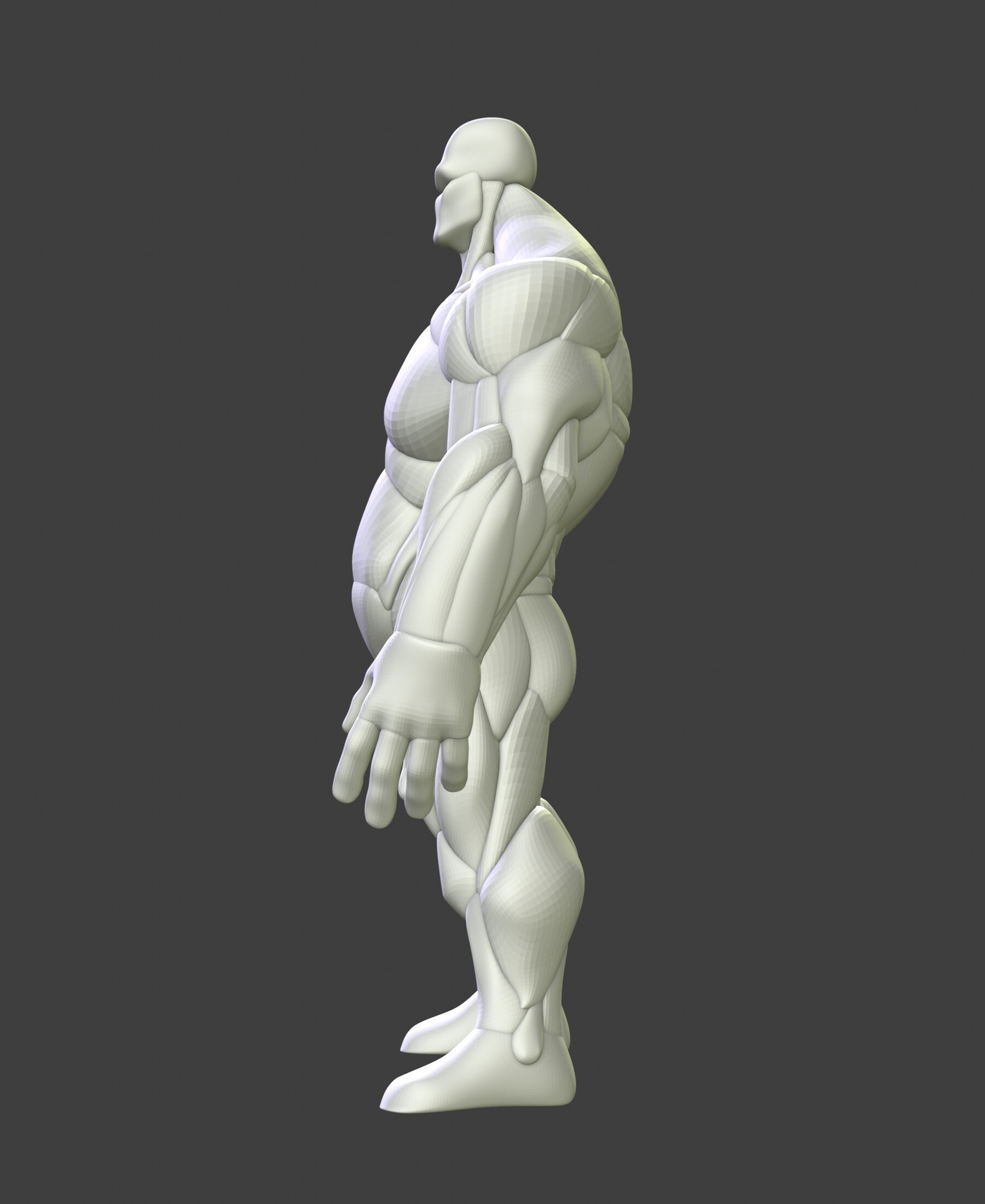 ArtStation - Stylized Heavy Anatomy Blockout | Resources
