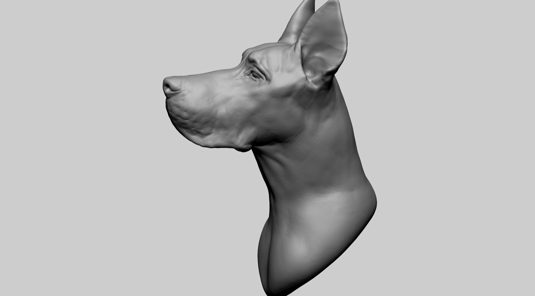 ArtStation - Dog Bust | Resources