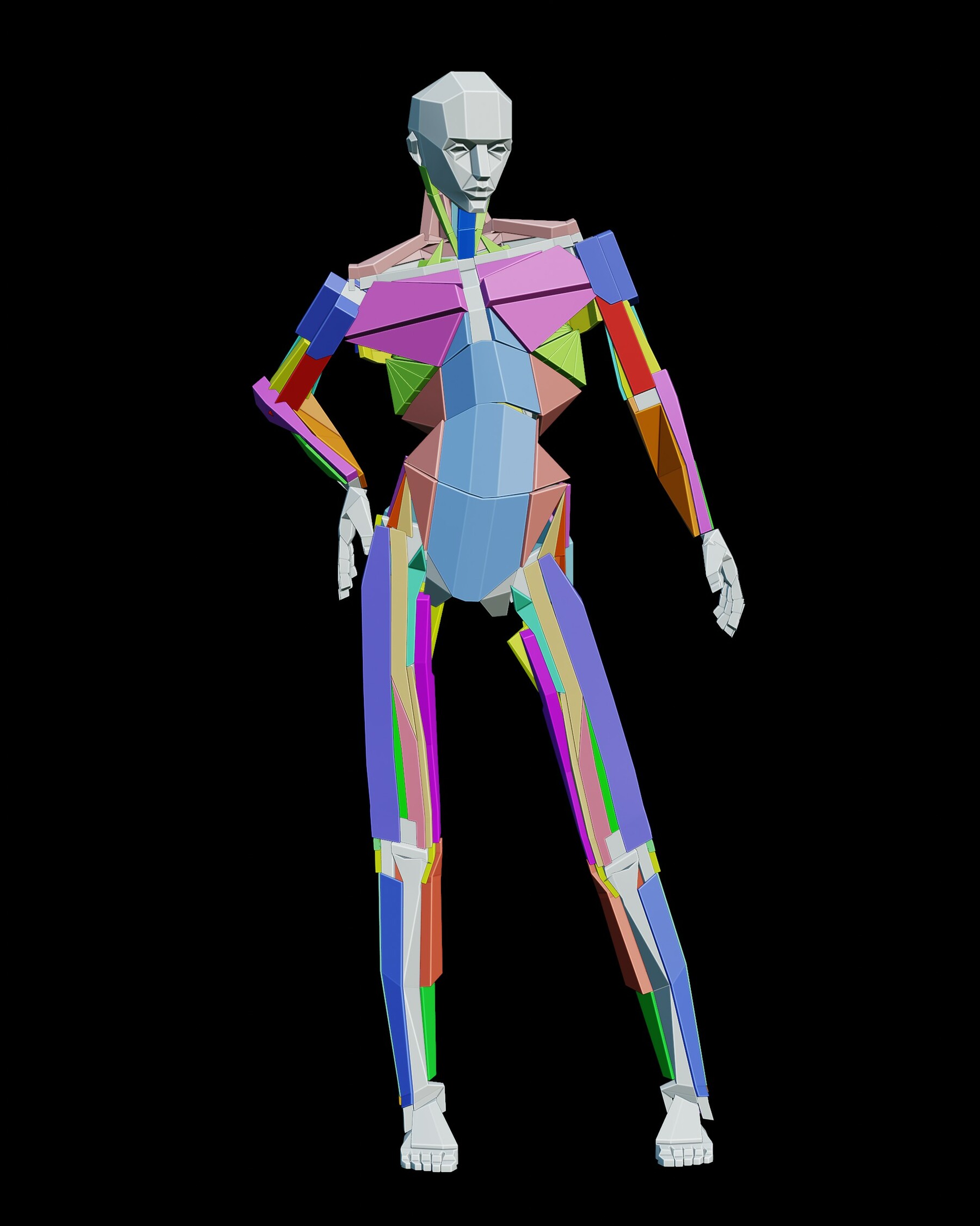 ArtStation - Low Poly Male Anatomy Rigged | Resources