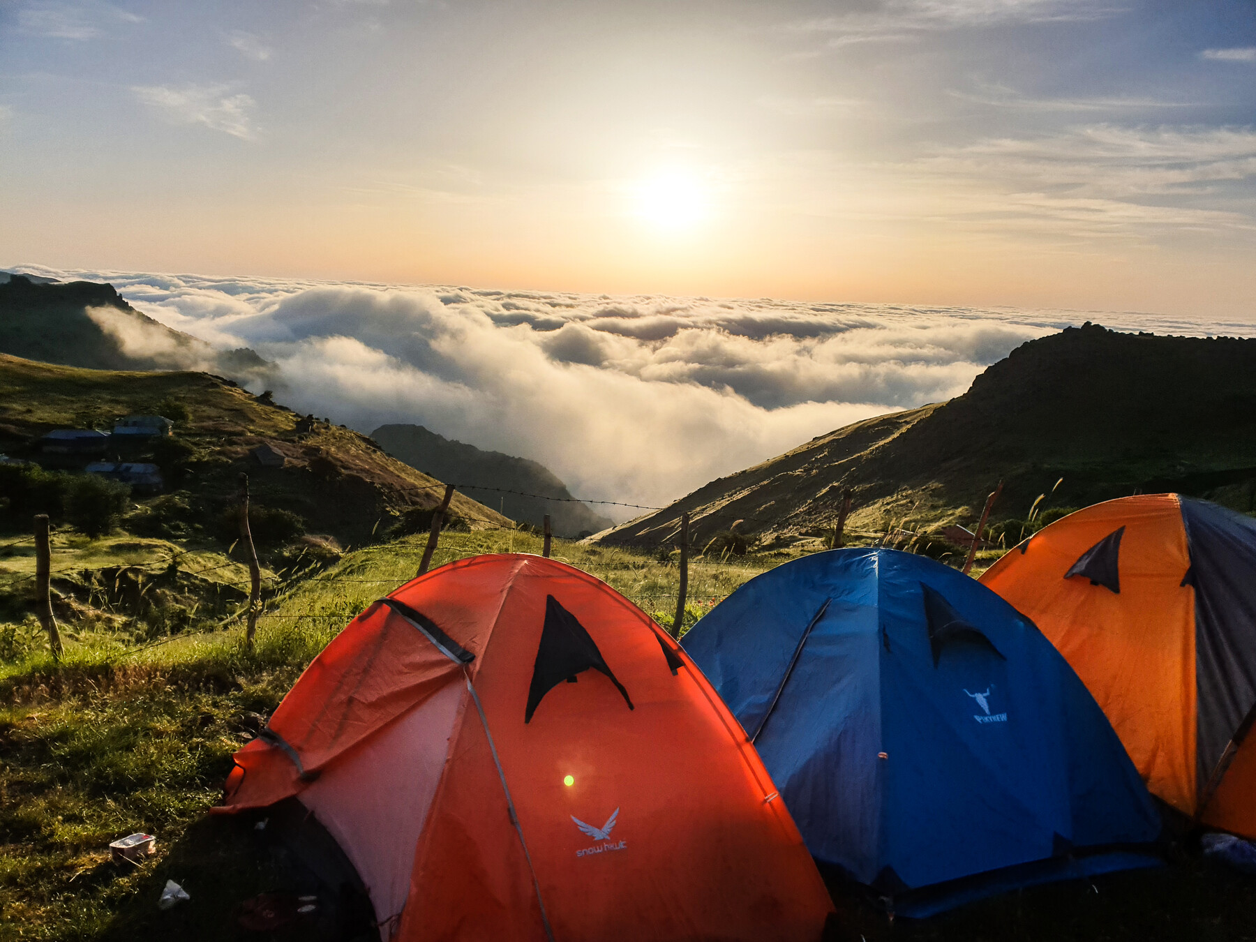 ArtStation - Deep Forest Photo Ref Pack | Resources