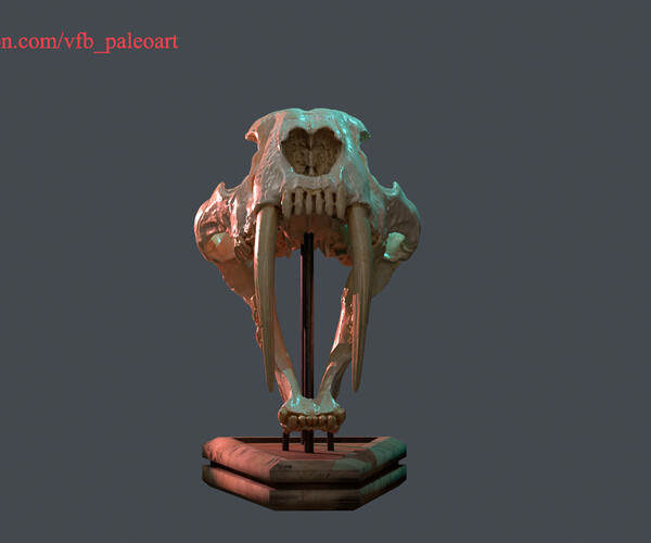 ArtStation - Smilodon fatalis skull - Statue for 3D printing | Resources