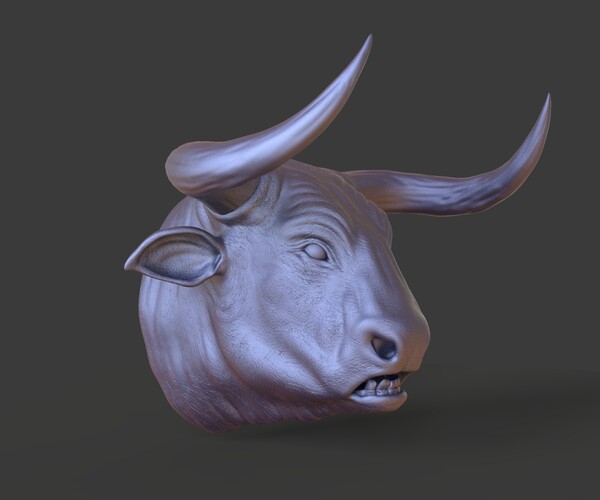 ArtStation - Head-B5_high poly sculpt | Resources