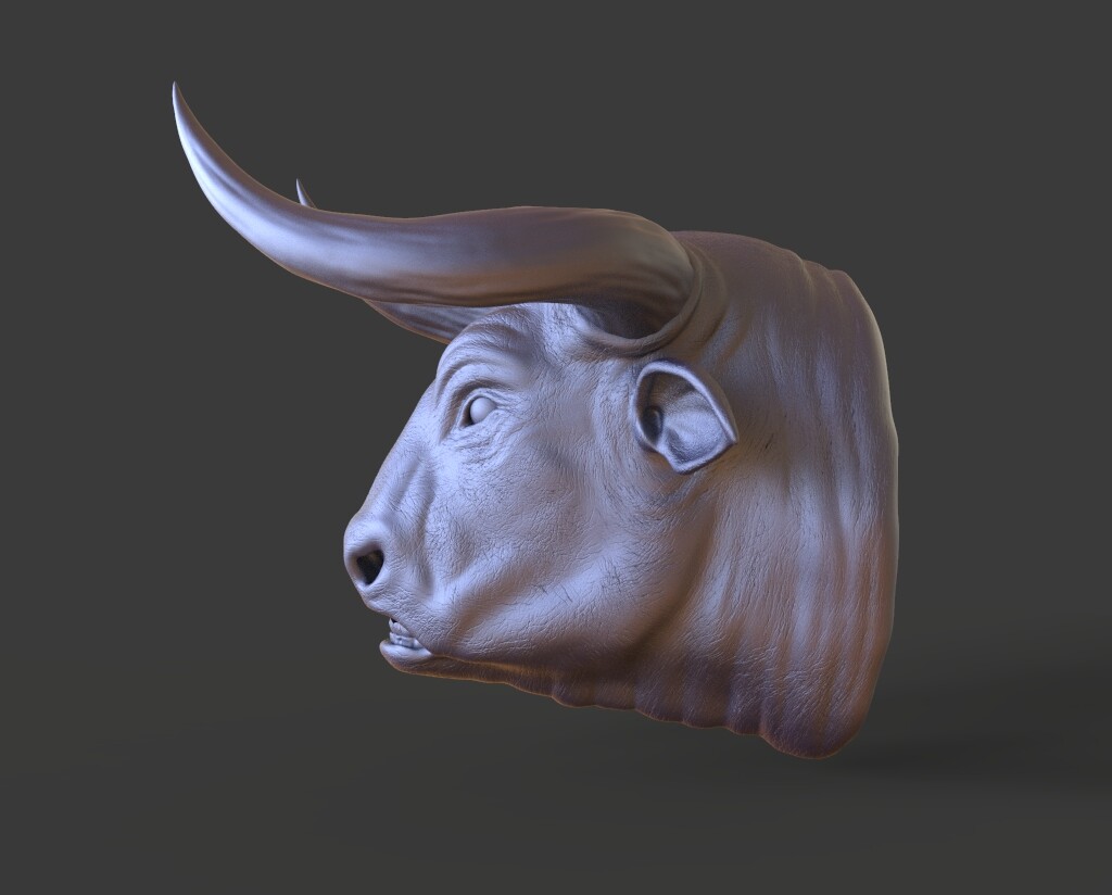 ArtStation - Head-B5_high poly sculpt | Resources