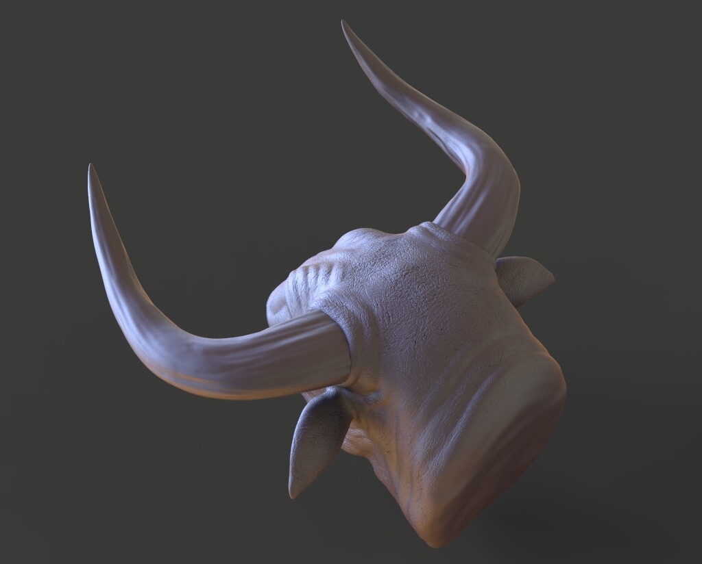 ArtStation - Head-B5_high poly sculpt | Resources