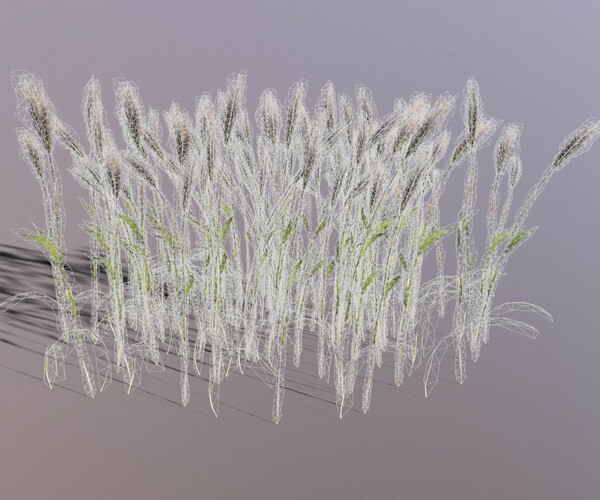ArtStation - Wheat Plant (Game-Ready) | Game Assets