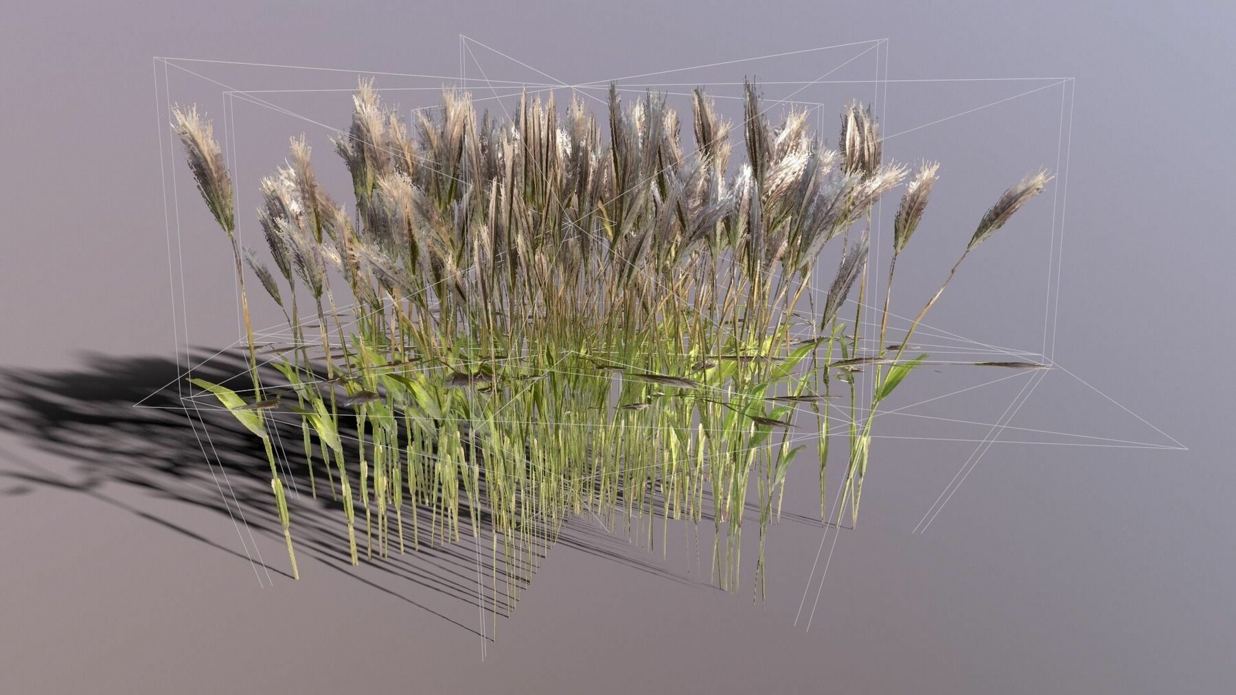 ArtStation - Wheat Plant (Game-Ready) | Game Assets