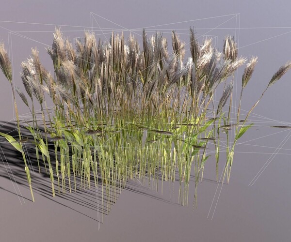 ArtStation - Wheat Plant (Game-Ready) | Game Assets