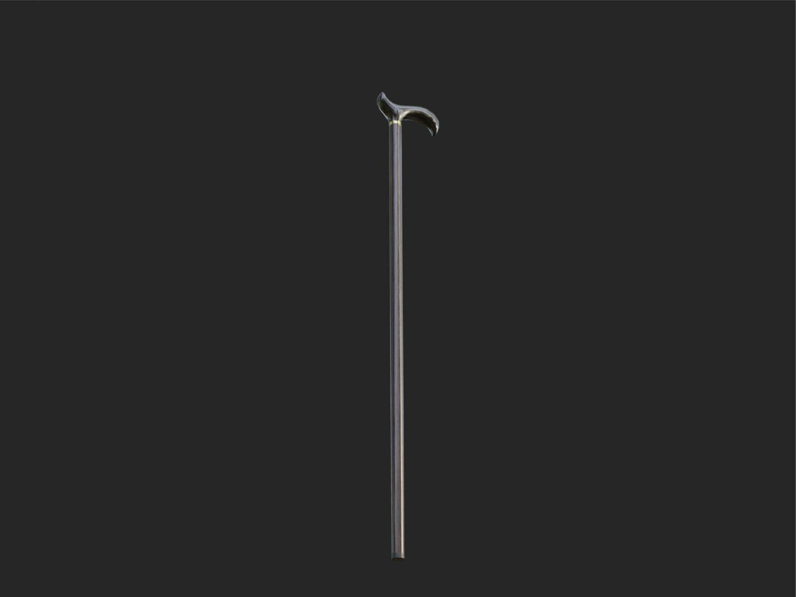 ArtStation - wood walking stick | Game Assets