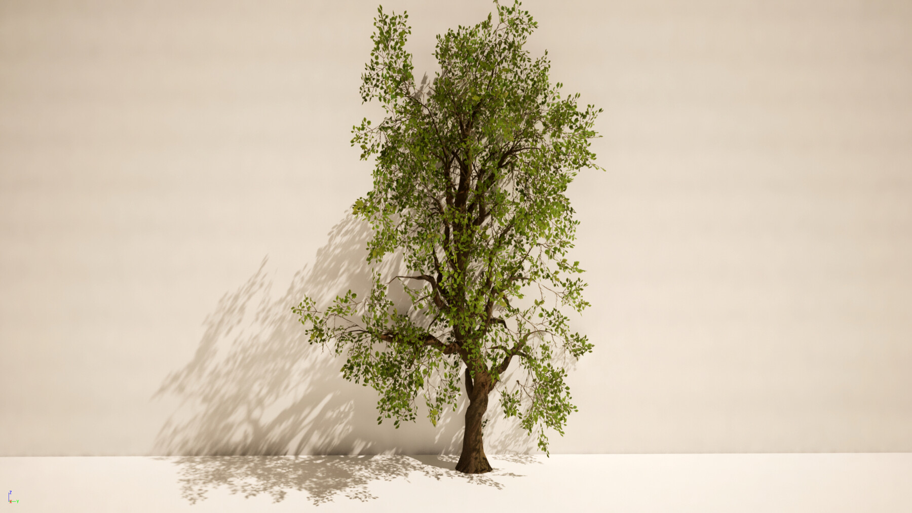 ArtStation - Tree_UltimatePack V1 | Game Assets