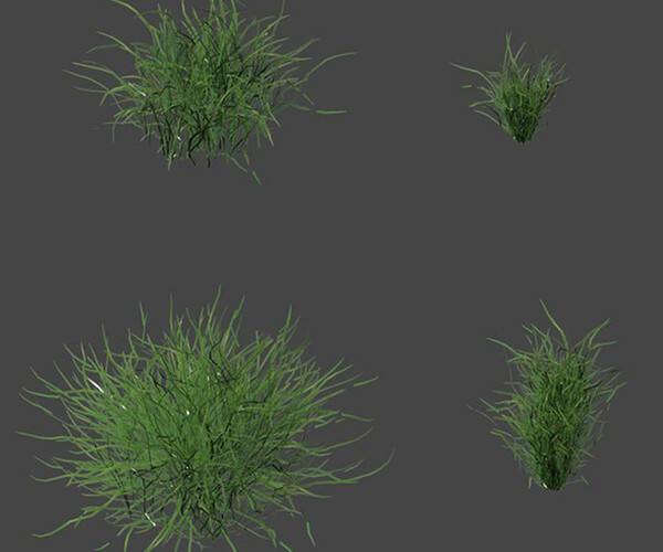 ArtStation - Forest Grass 03 | Resources