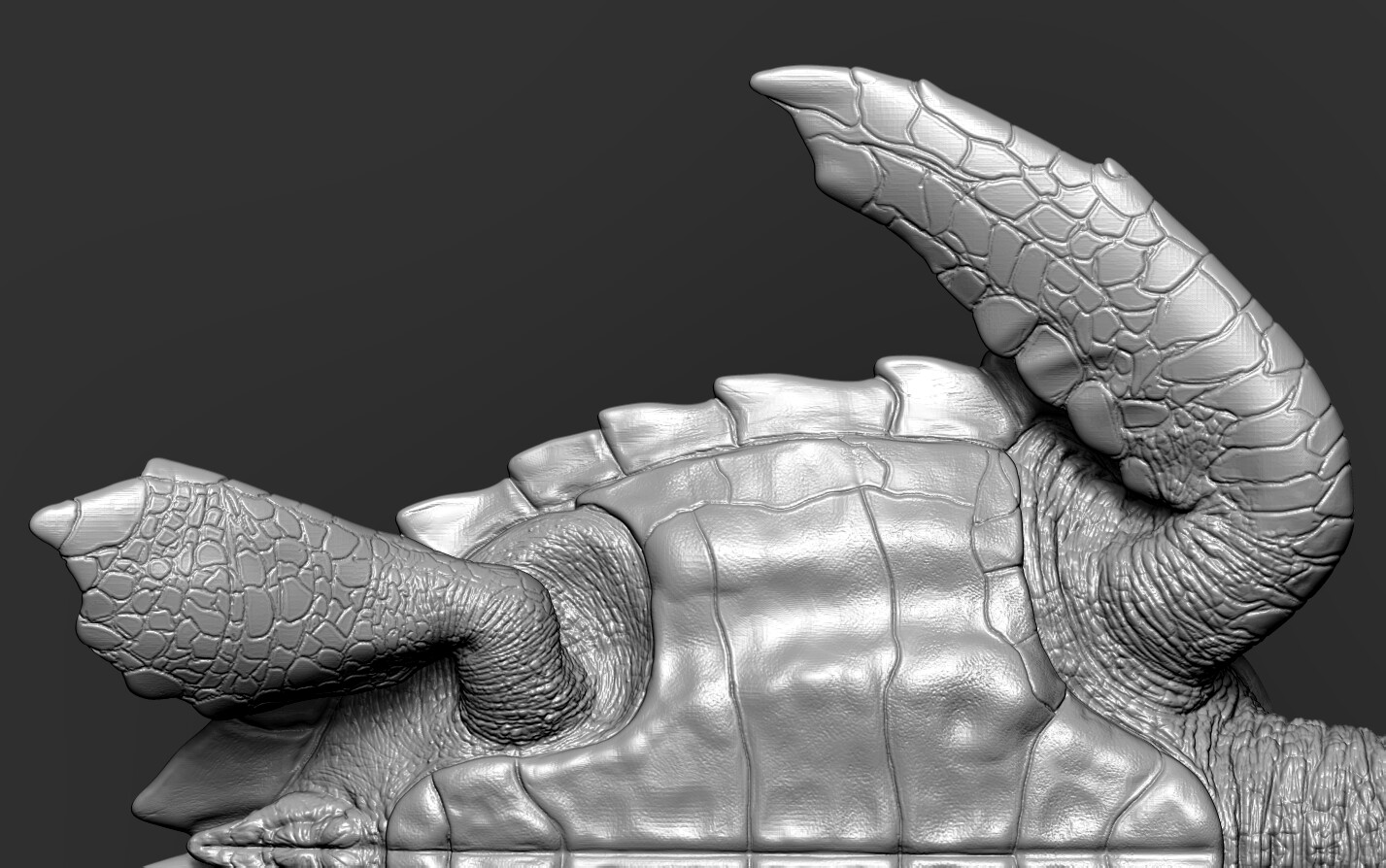 ArtStation - Hawksbill Sea Turtle | Resources