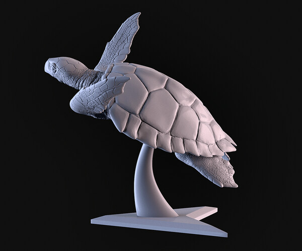 ArtStation - Turtle | Resources