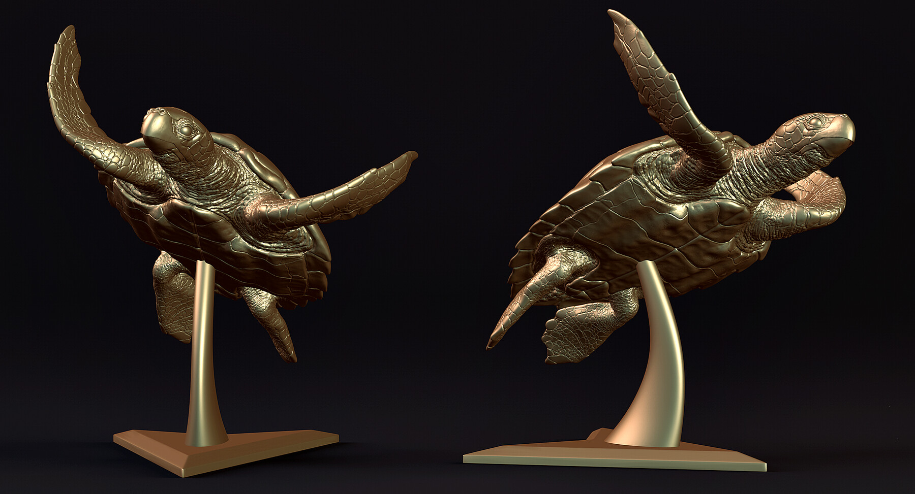 ArtStation - Turtle | Resources