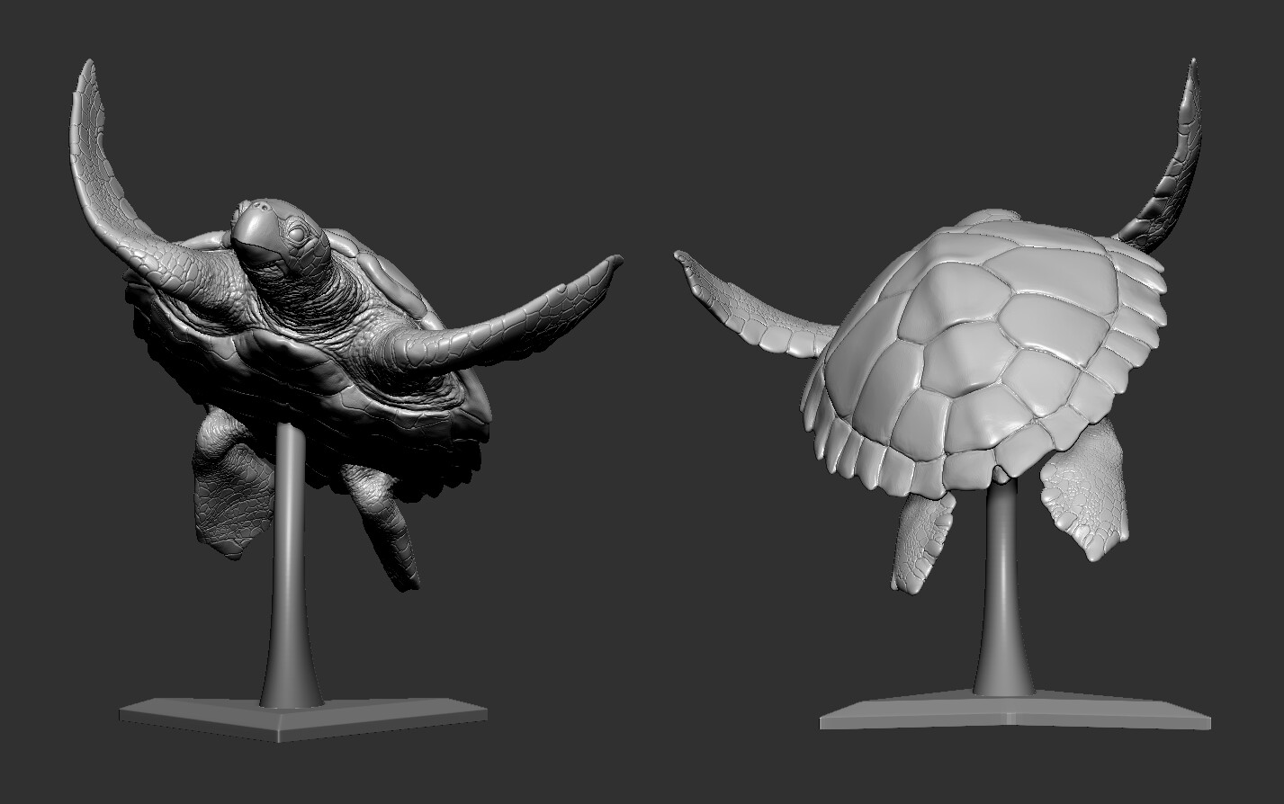 ArtStation - Turtle | Resources