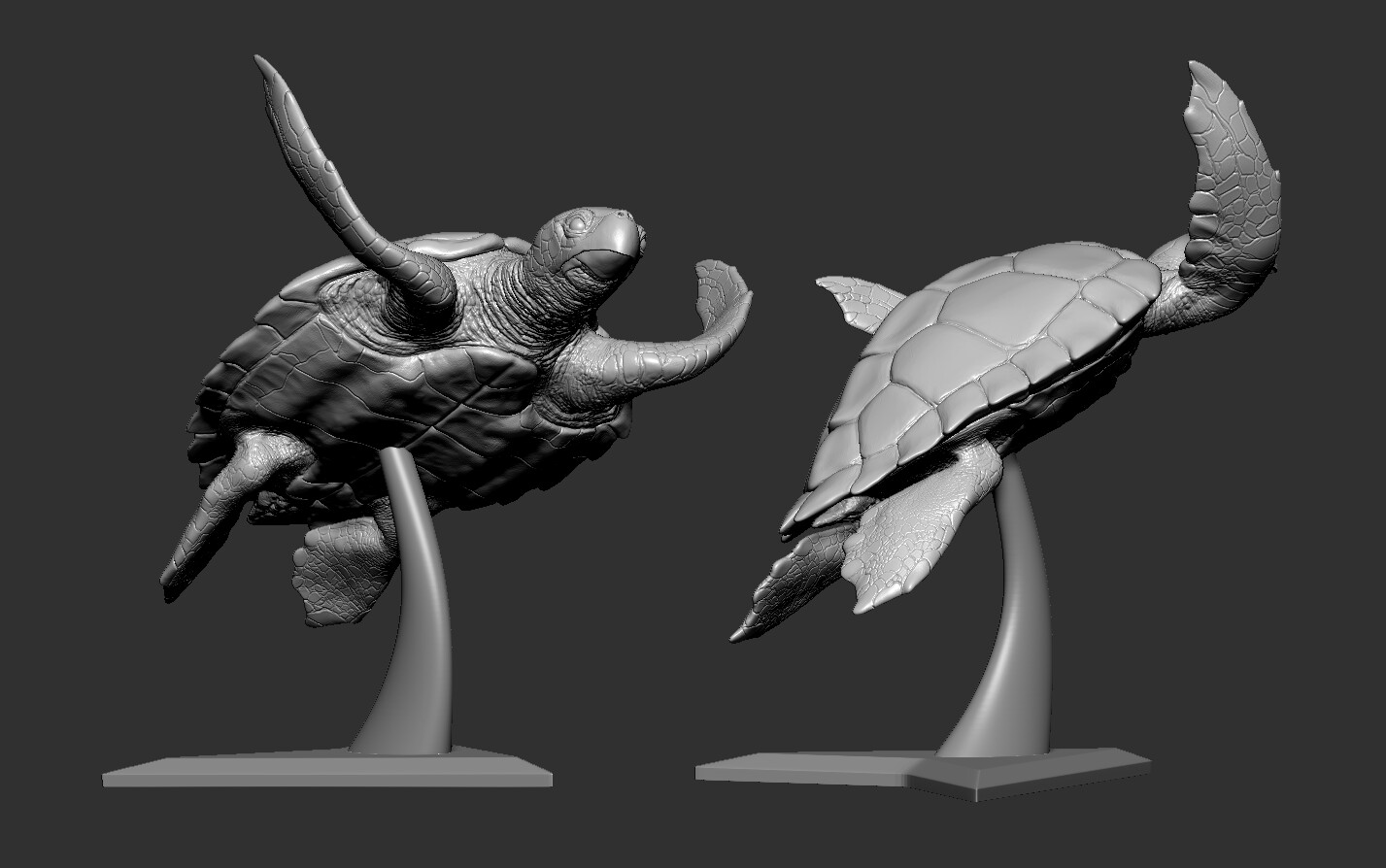 ArtStation - Turtle | Resources