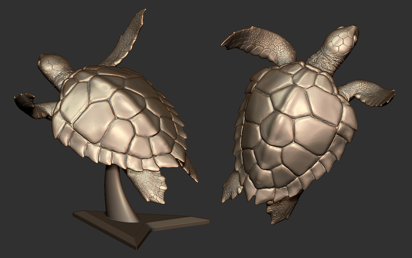 ArtStation - Turtle | Resources