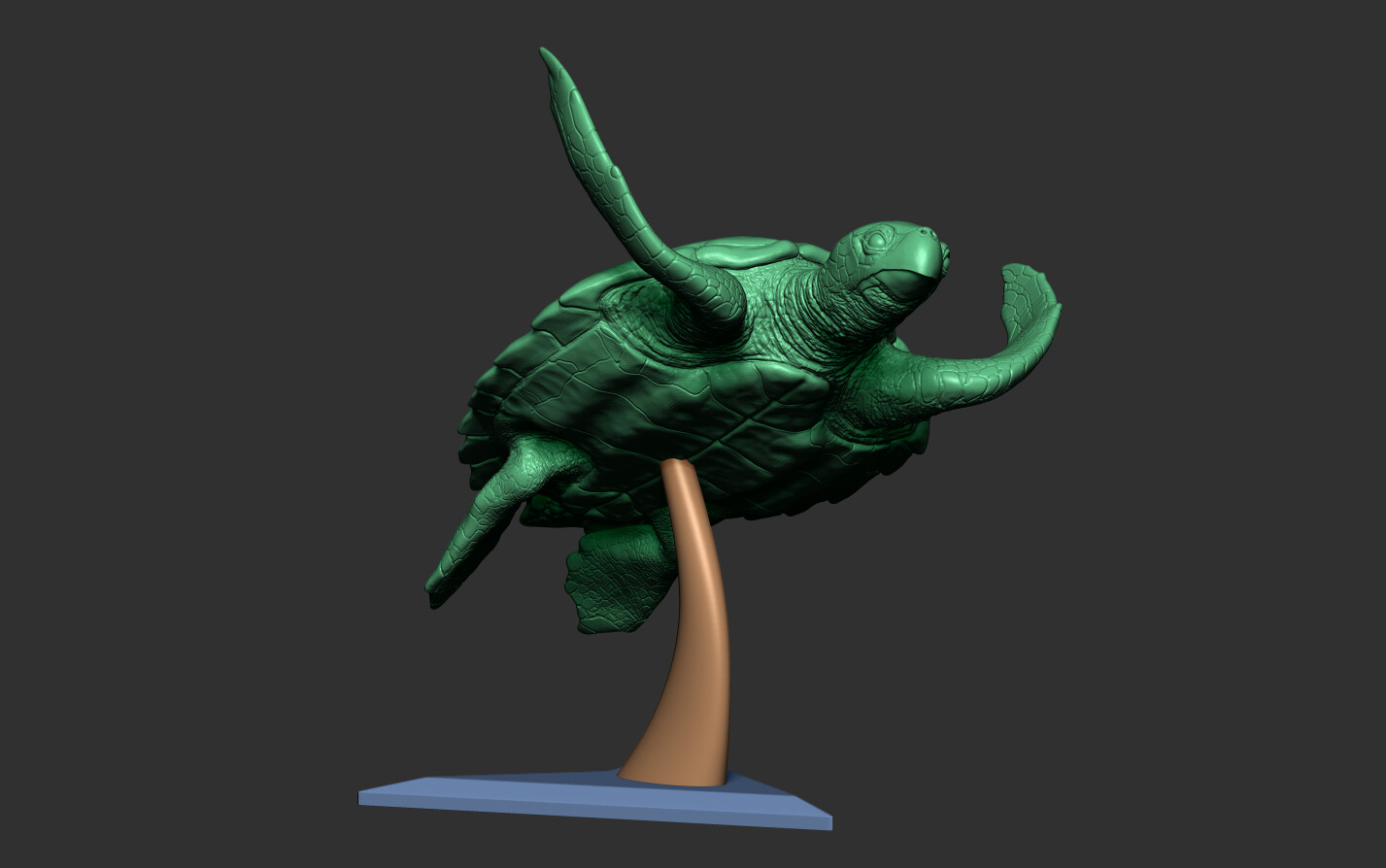 ArtStation - Turtle | Resources