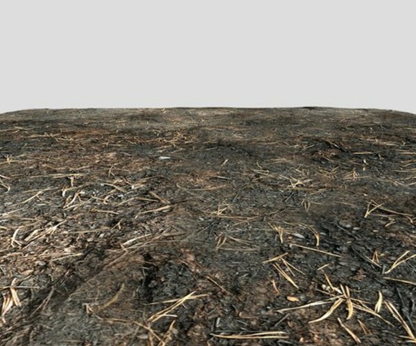 ArtStation - Terrain - Burn Ground - PBR - seamless | Resources