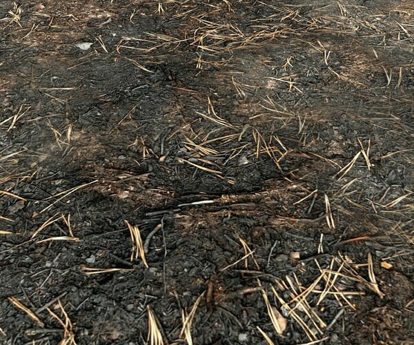 ArtStation - Terrain - Burn Ground - PBR - seamless | Resources