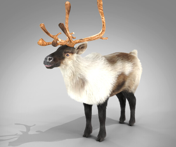 ArtStation - Fur Reindeer Rigged Blender | Game Assets