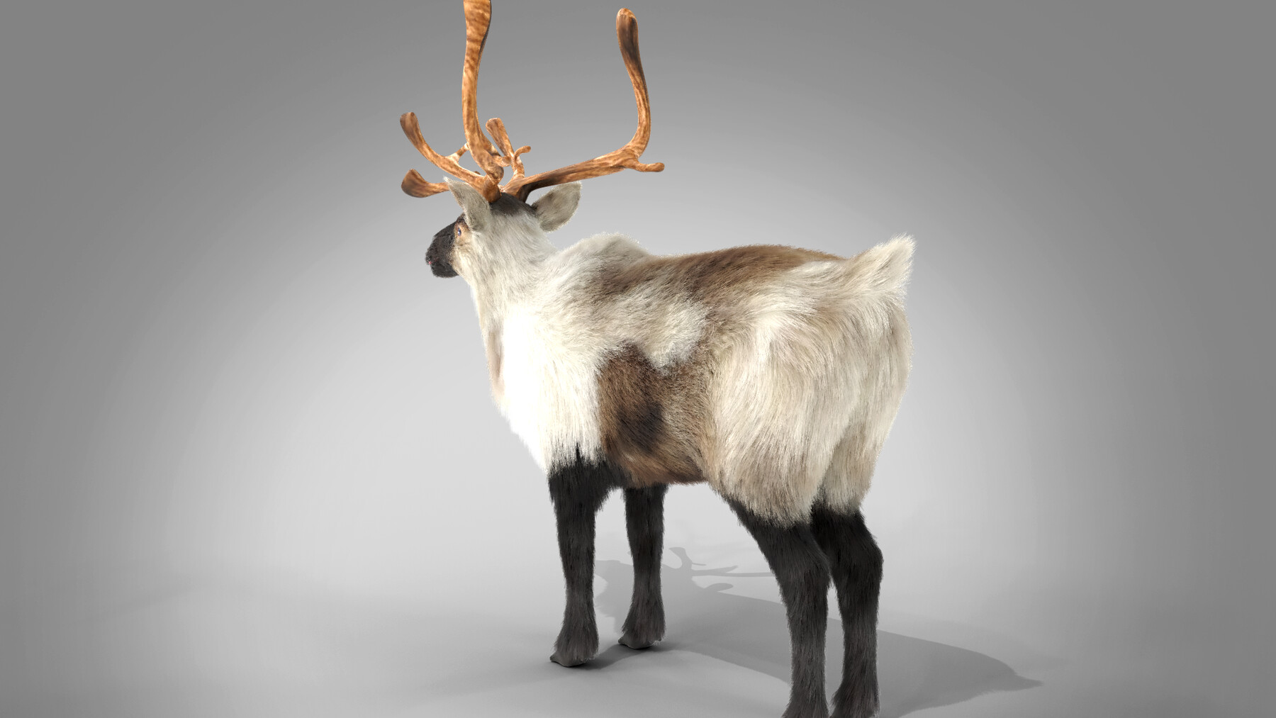 ArtStation - Fur Reindeer Rigged Blender | Game Assets